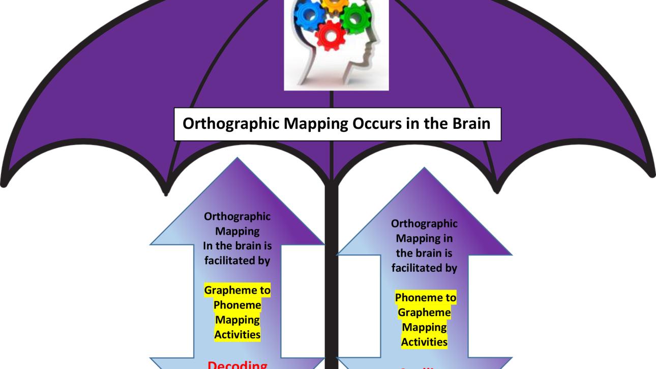 Orthographic Mapping - Phoneme-GraphemeMapping.com